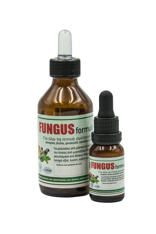 Fungus Formula 15ml